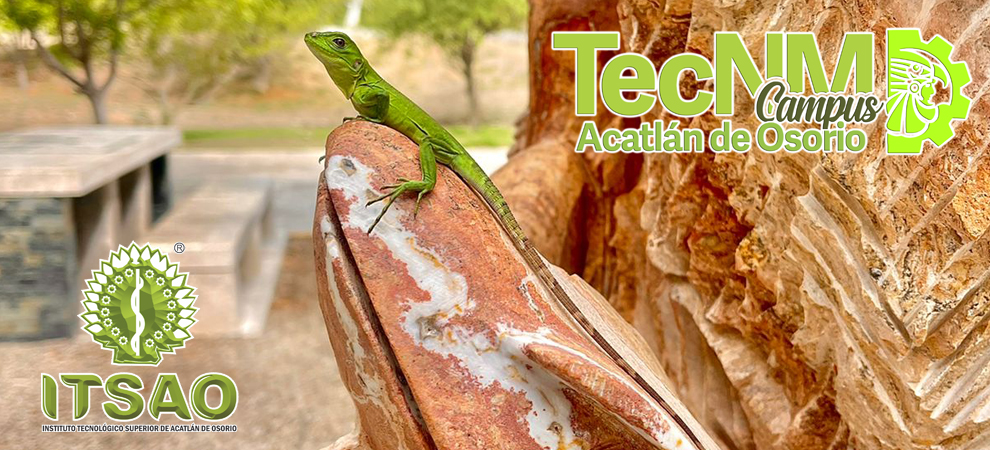 TecNM :: Instituto Tecnológico Superior de Acatlán de Osorio - ITSAO